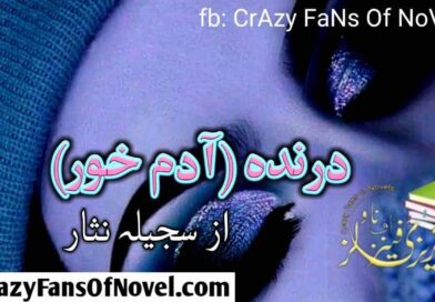 Urdu Novels - Crazy Fans of Novels - Readers Are Leaders